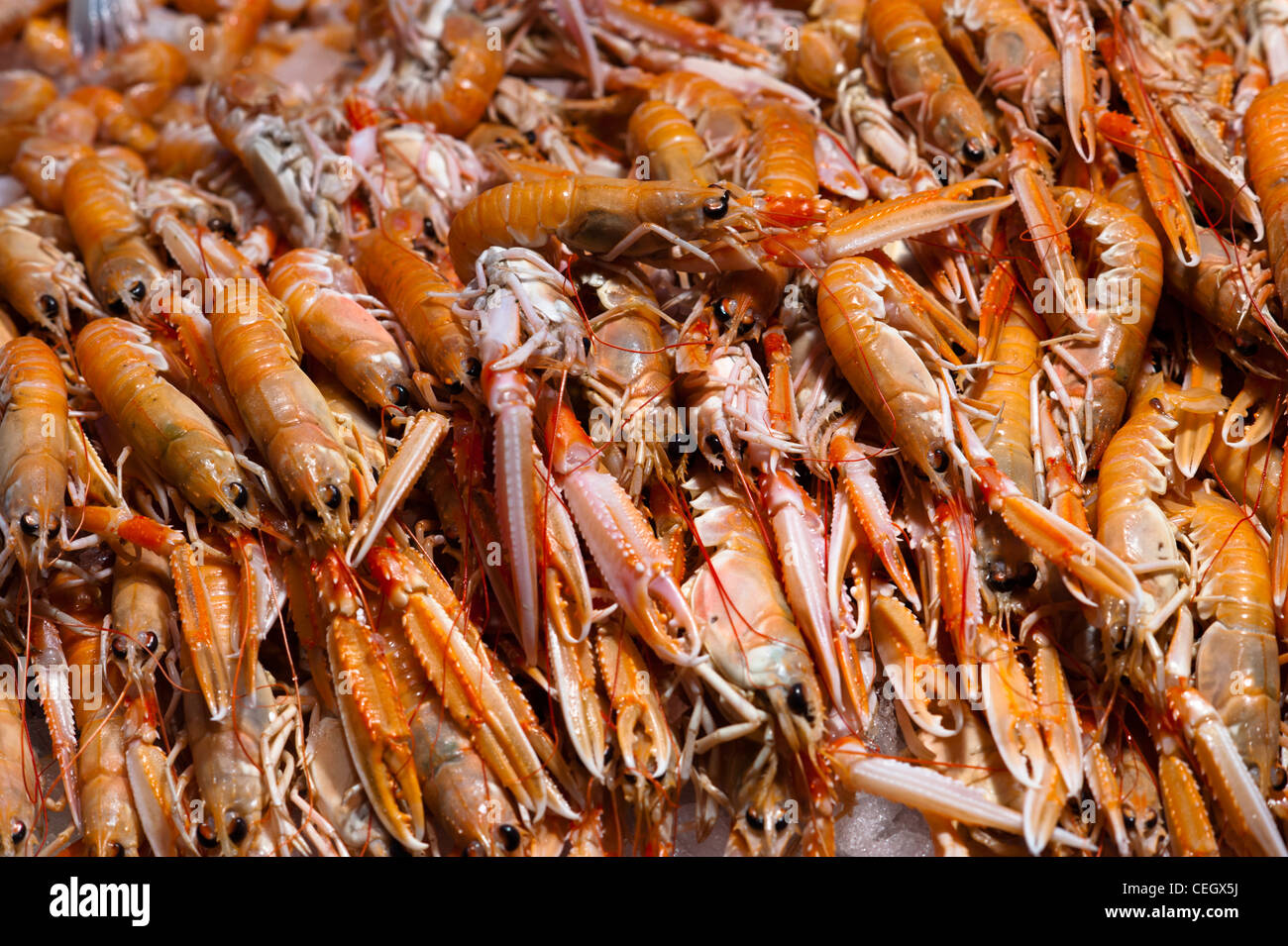 Crayfish seafood market hi-res stock photography and images - Alamy
