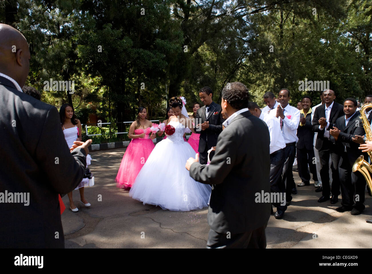 Wedding Party in the Gardens of the Ghion Hotel in Addis Ababa Ethiopia ...