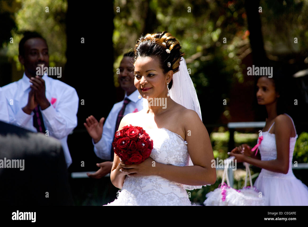 Wedding Party in the Gardens of the Ghion Hotel in Addis Ababa Ethiopia ...