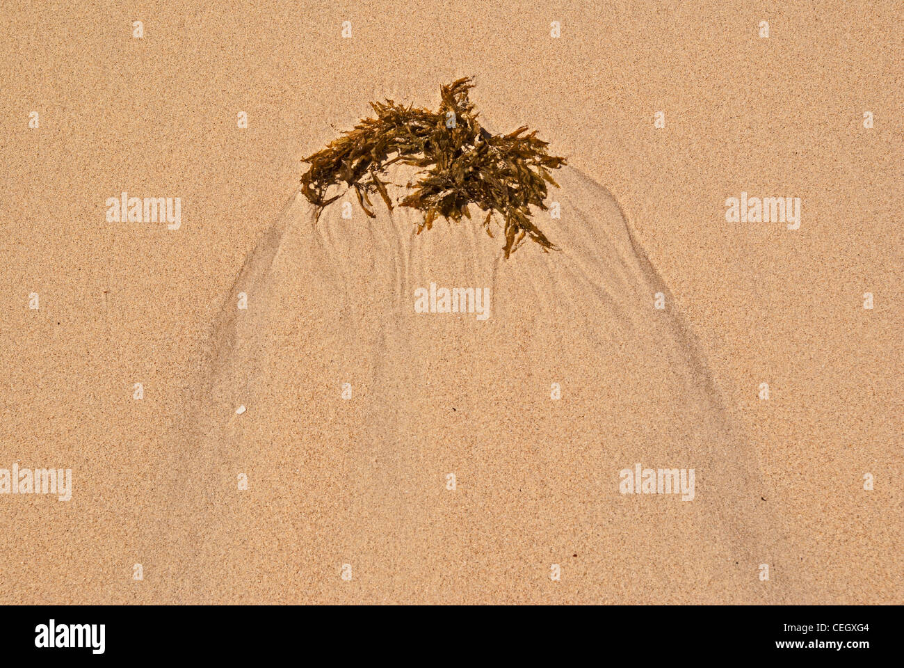 SAND PATTERNS, BEACH, BARN HILL, AUSTRALIA Stock Photo - Alamy