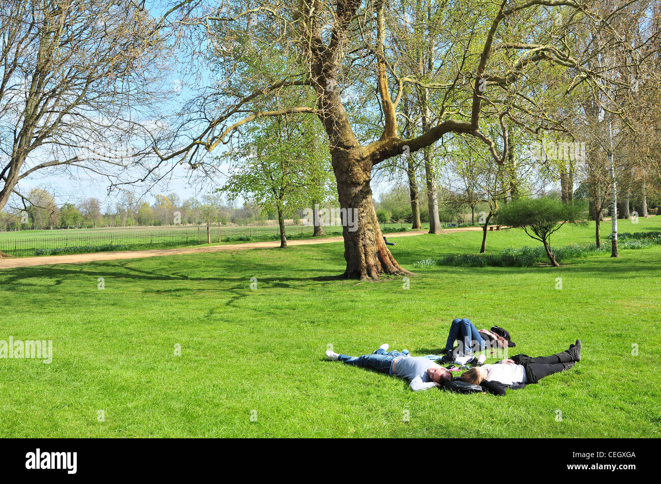 English park in summer hi-res stock photography and images - Alamy