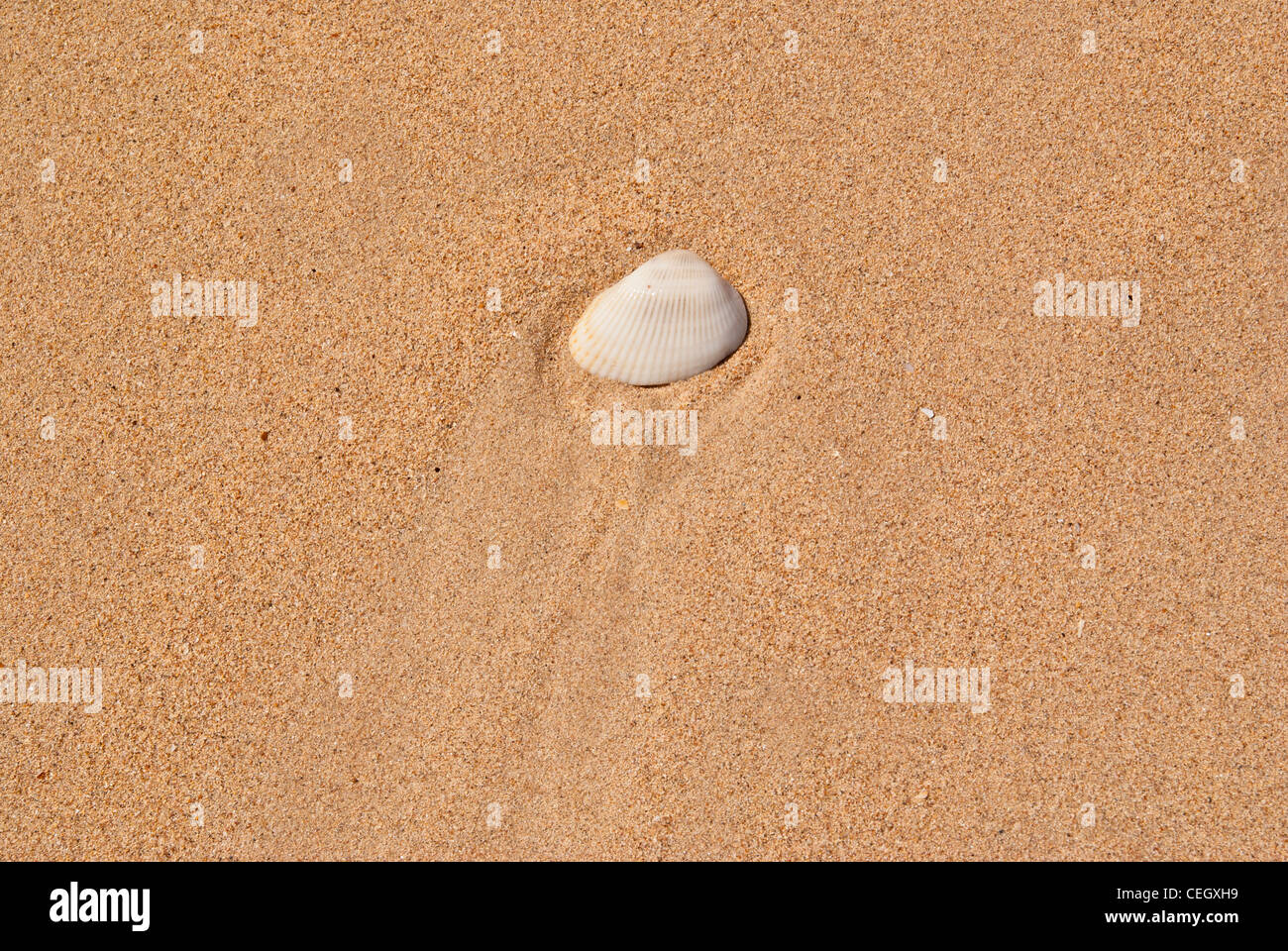 SAND PATTERNS, BEACH, BARN HILL, AUSTRALIA Stock Photo - Alamy