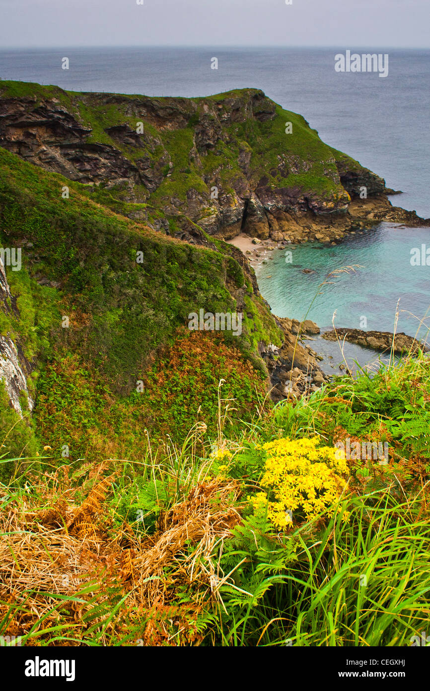 Varley hi-res stock photography and images - Alamy