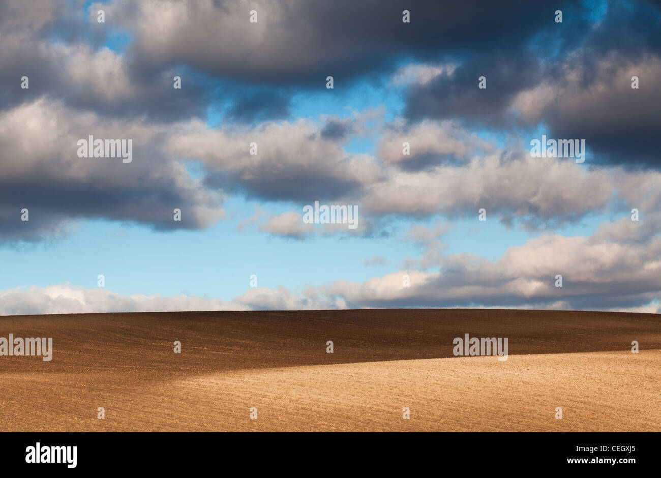 The fallow field in autumn at sunset Stock Photo - Alamy