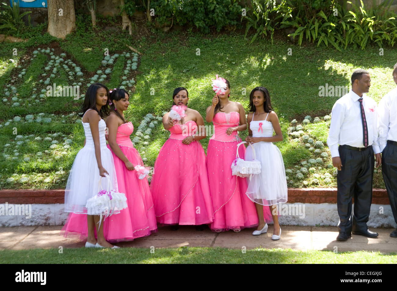 Wedding Party in the Gardens of the Ghion Hotel in Addis Ababa Ethiopia ...