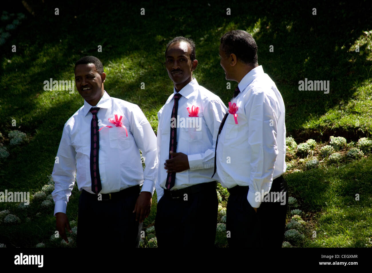 Wedding Party in the Gardens of the Ghion Hotel in Addis Ababa Ethiopia ...
