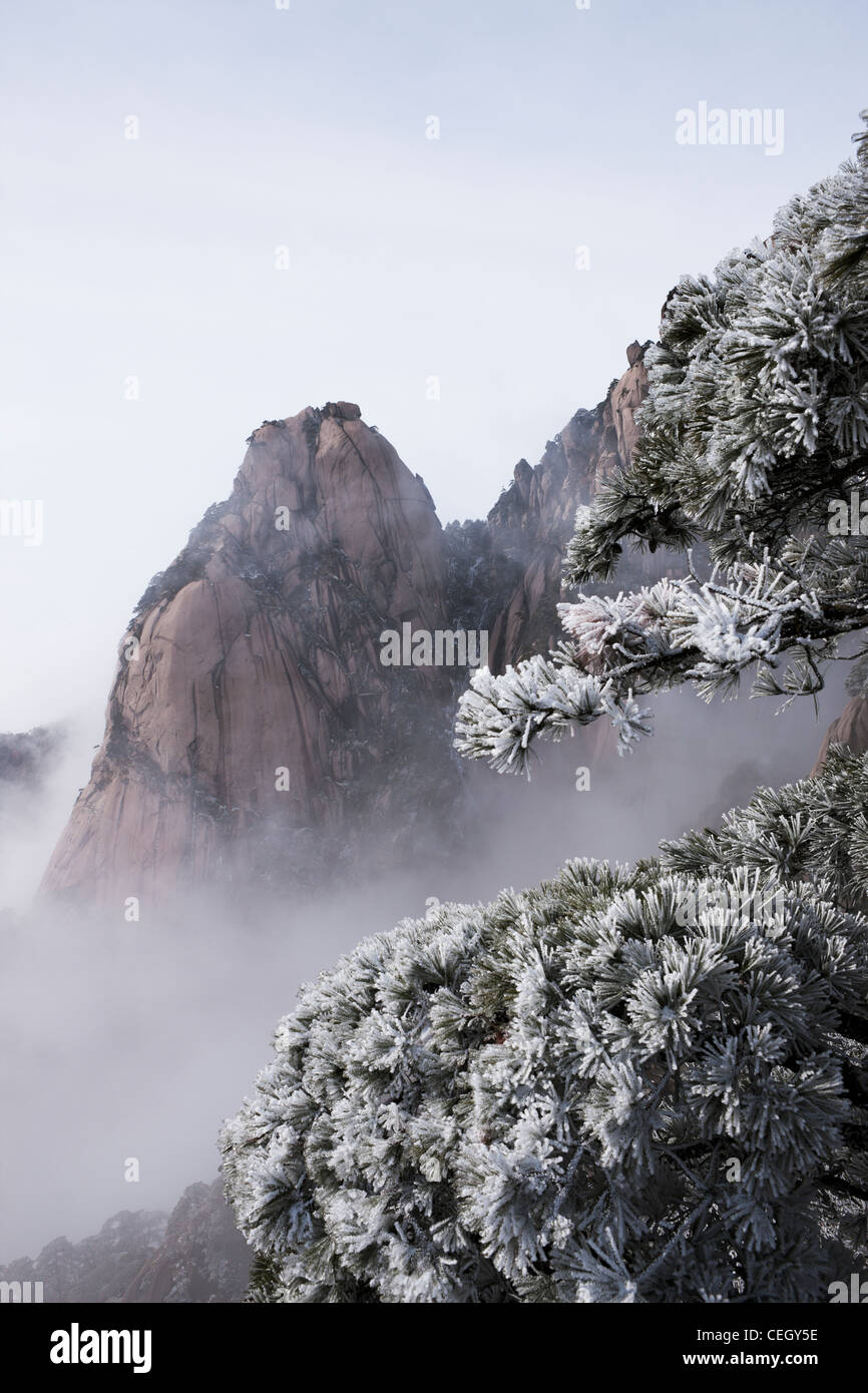 Scenemountain hi-res stock photography and images - Alamy
