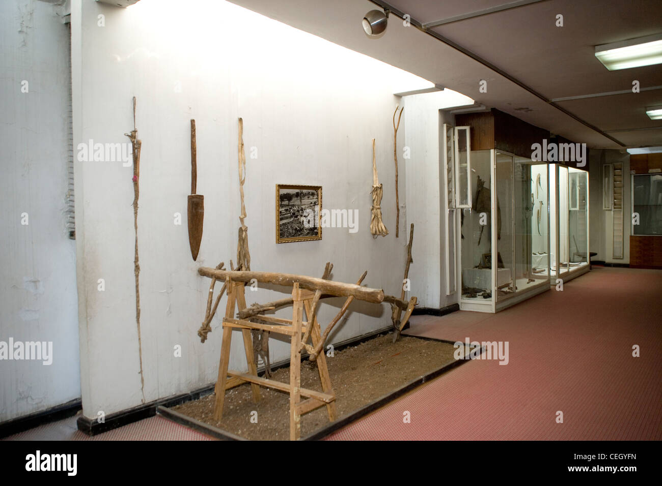 Interior of the National Museum of Ethiopia in Addis Ababa, Ethiopia ...