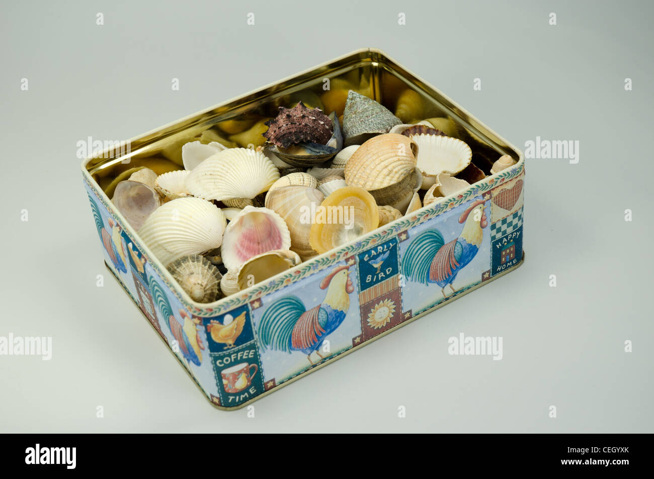 An oblong metal tin with an assortment sea shells in it Stock Photo - Alamy