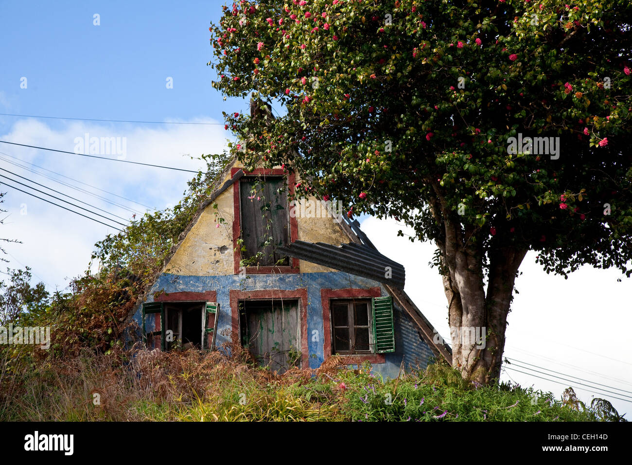 Traditional triangular A-framed Palheiro thatched Portuguese houses ... Traditional triangular A-framed Palheiro thatched Portuguese houses ...