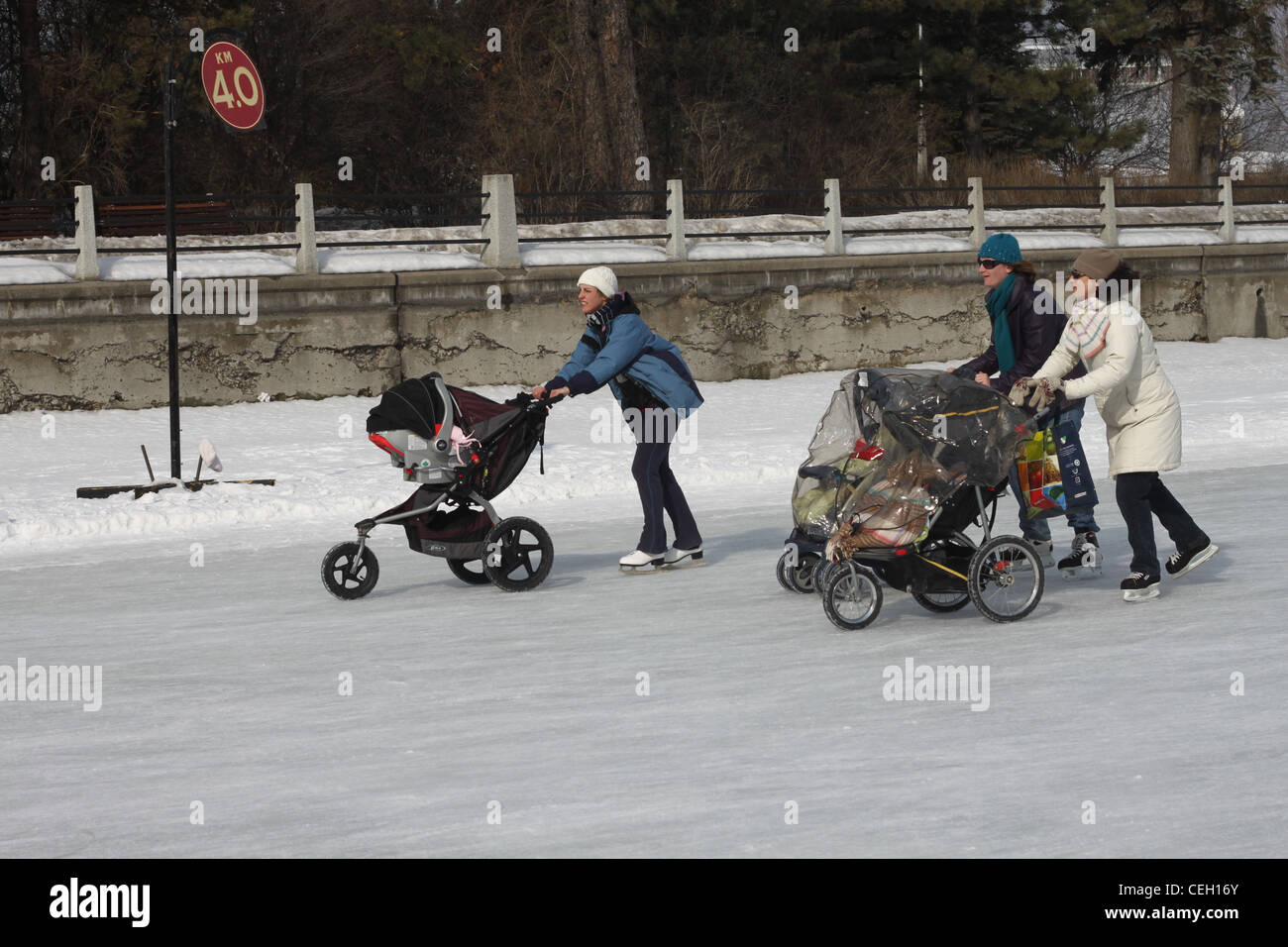 Three moms pushing strollers while skating on the Ottawa Canal Stock ...
