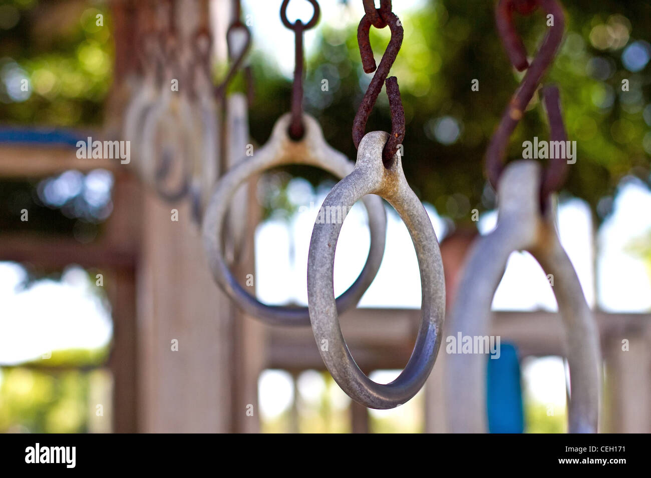Hang tough rings Stock Photo - Alamy