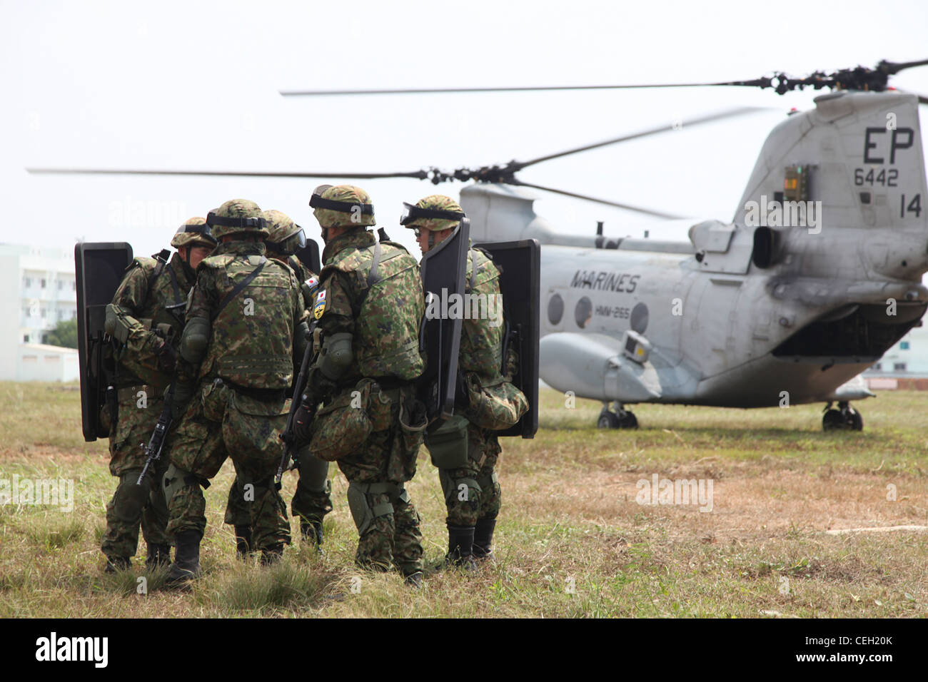 31st security forces squadron hi-res stock photography and images - Alamy