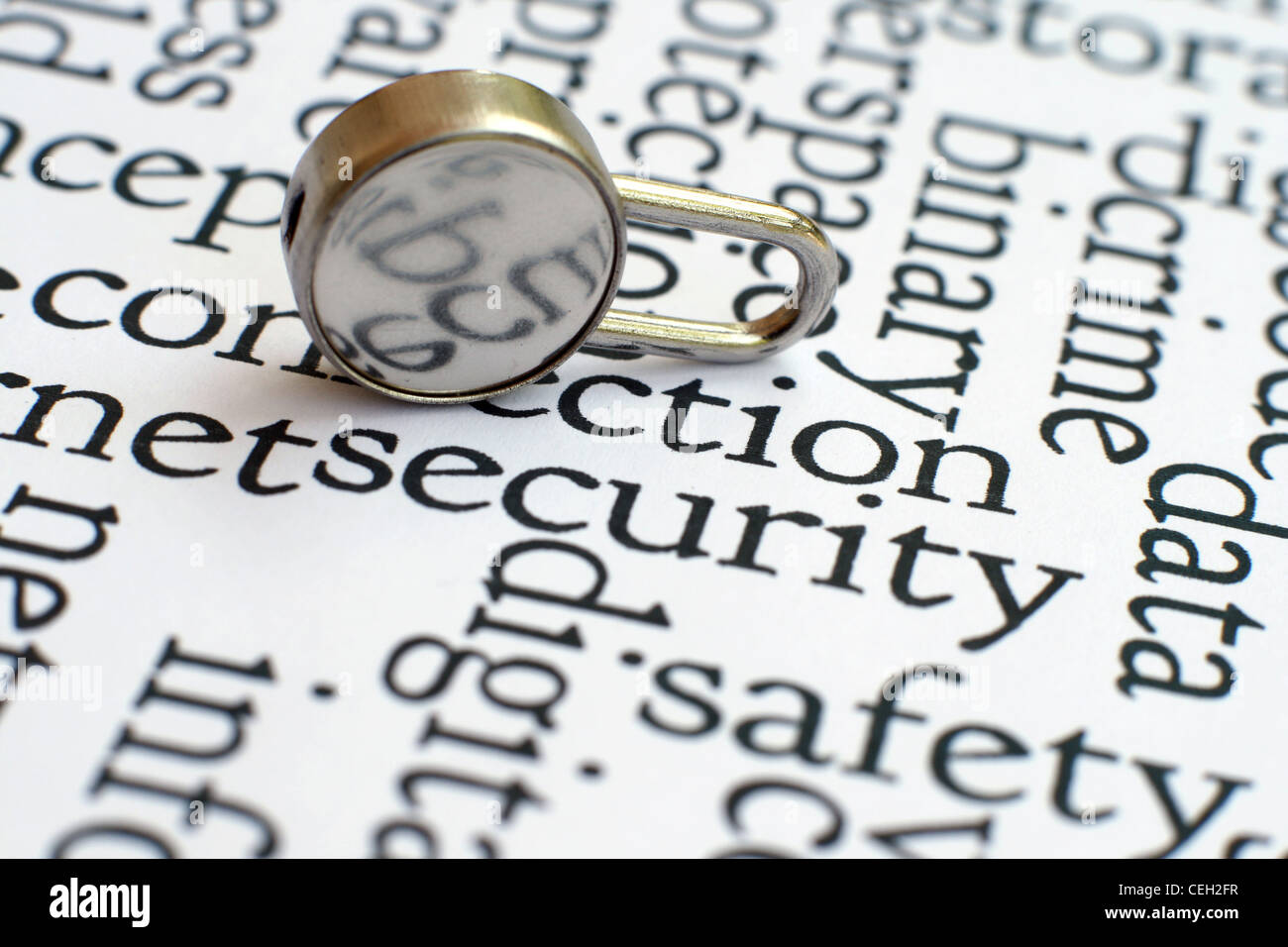 Web security icon hi-res stock photography and images - Alamy