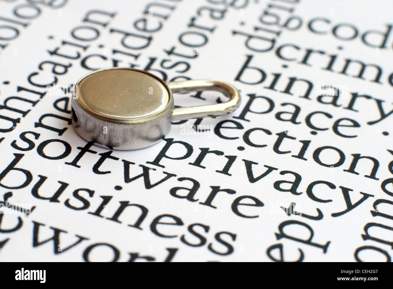 Web security icon hi-res stock photography and images - Alamy