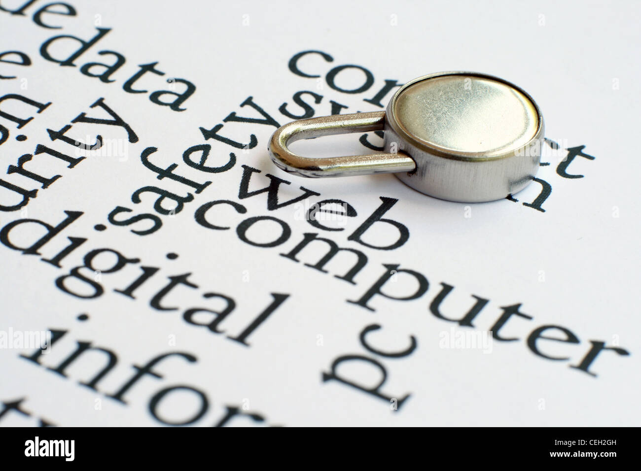 Web security icon hi-res stock photography and images - Alamy