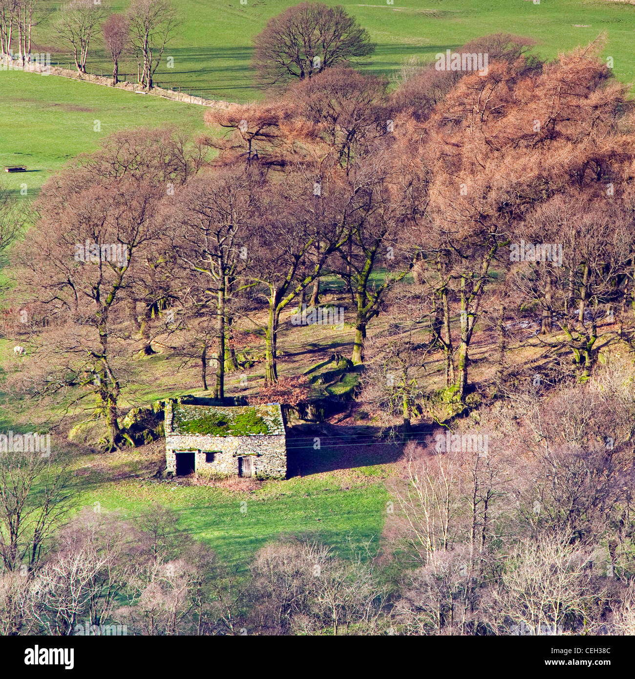 Patterdale farm hi-res stock photography and images - Alamy