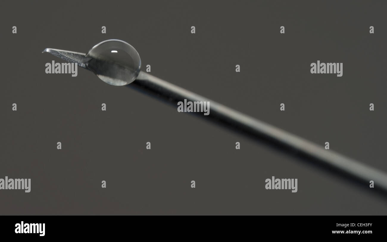 Close up of syringe needle with water droplet Stock Photo - Alamy