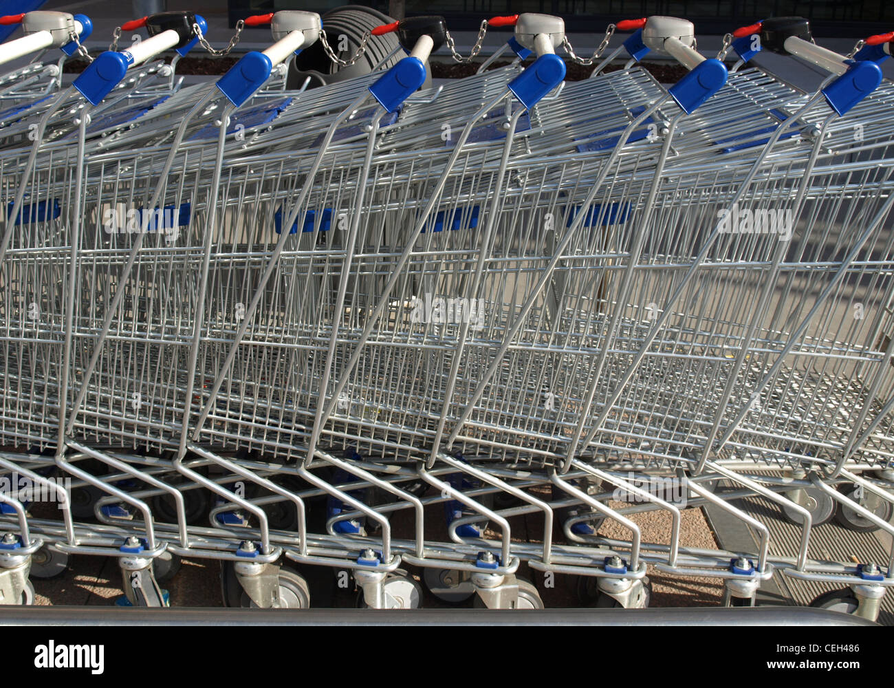 Row of supermarket shopping carts or trolleys Stock Photo - Alamy
