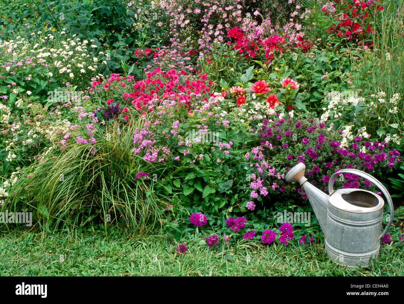 Metal watering can sits beside blooming flower border in back yard ...