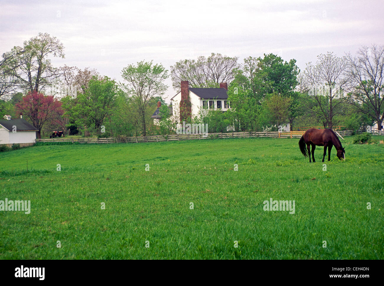 Country house and a horse hi-res stock photography and images - Alamy