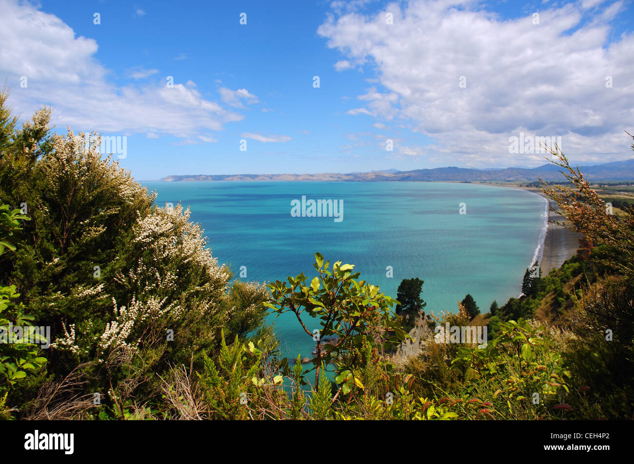 Cloudy Bay in New Zealand Stock Photo - Alamy