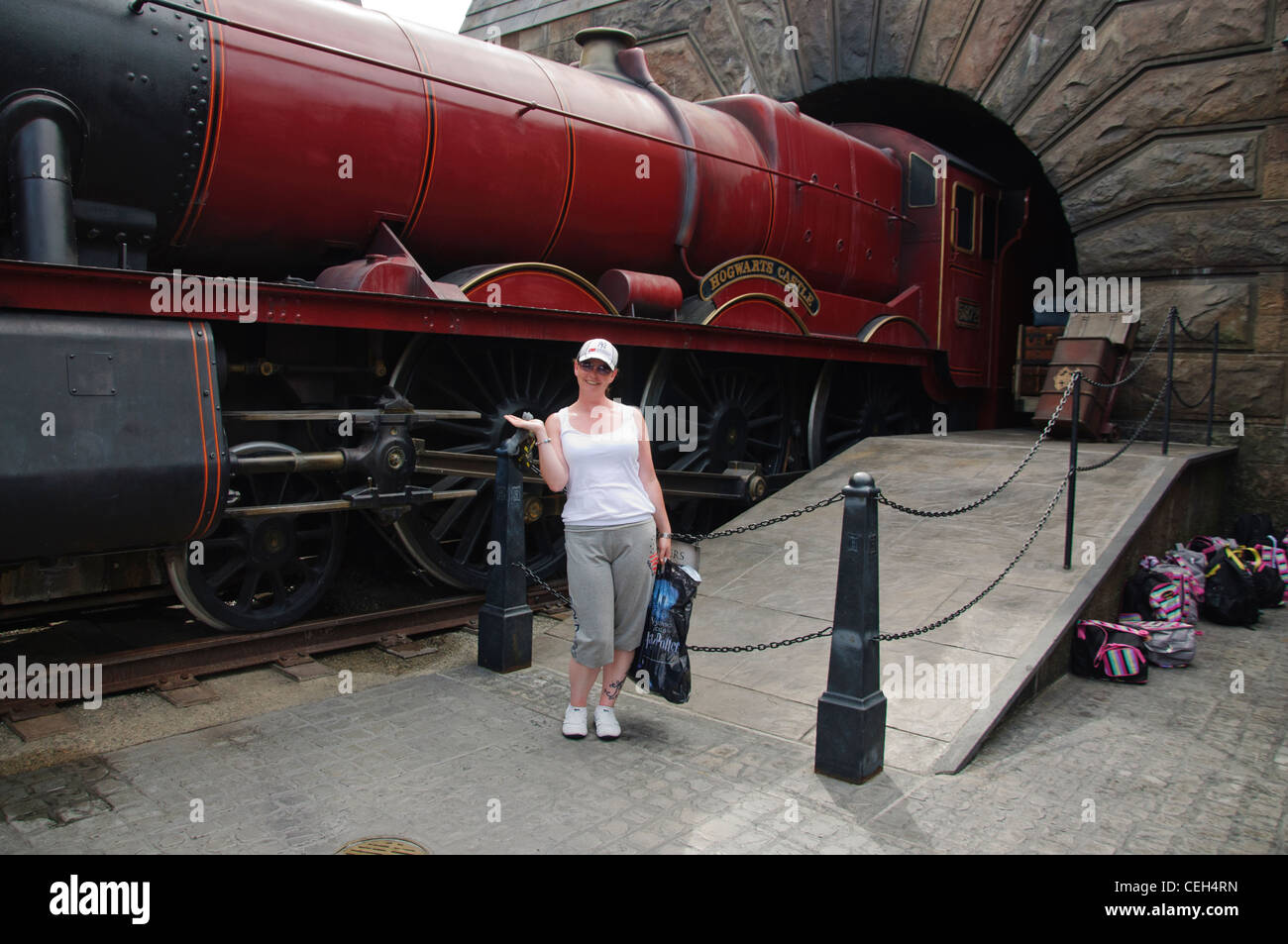 hogwarts express train in the grounds of the wizarding world of harry ...