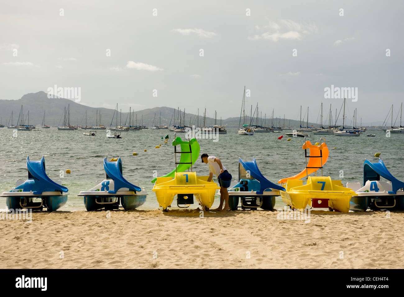 Pine Walk, Puerto Pollensa, Mallorca Stock Photo - Alamy
