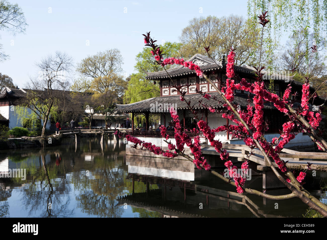 china suzhou zhuozheng garden plant Classical Style sunlight Travel ...
