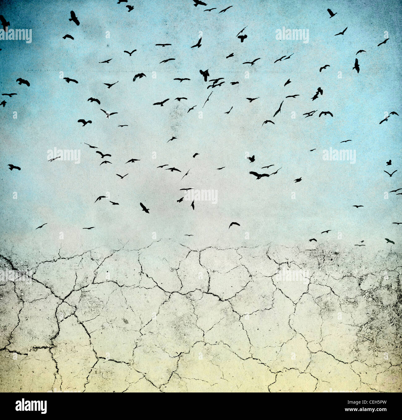 ground cracked, birds in the sky Stock Photo - Alamy