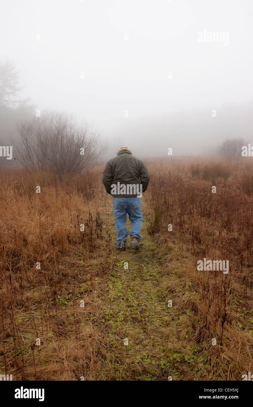 one man walking alone through a field in the fog Stock Photo - Alamy