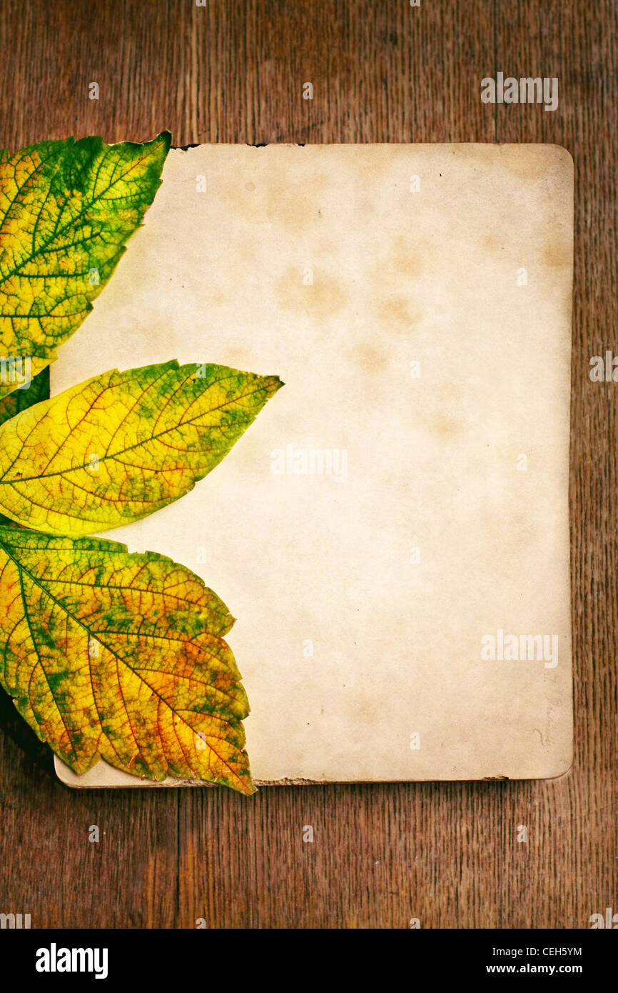 Old paper leaf texture hi-res stock photography and images - Alamy