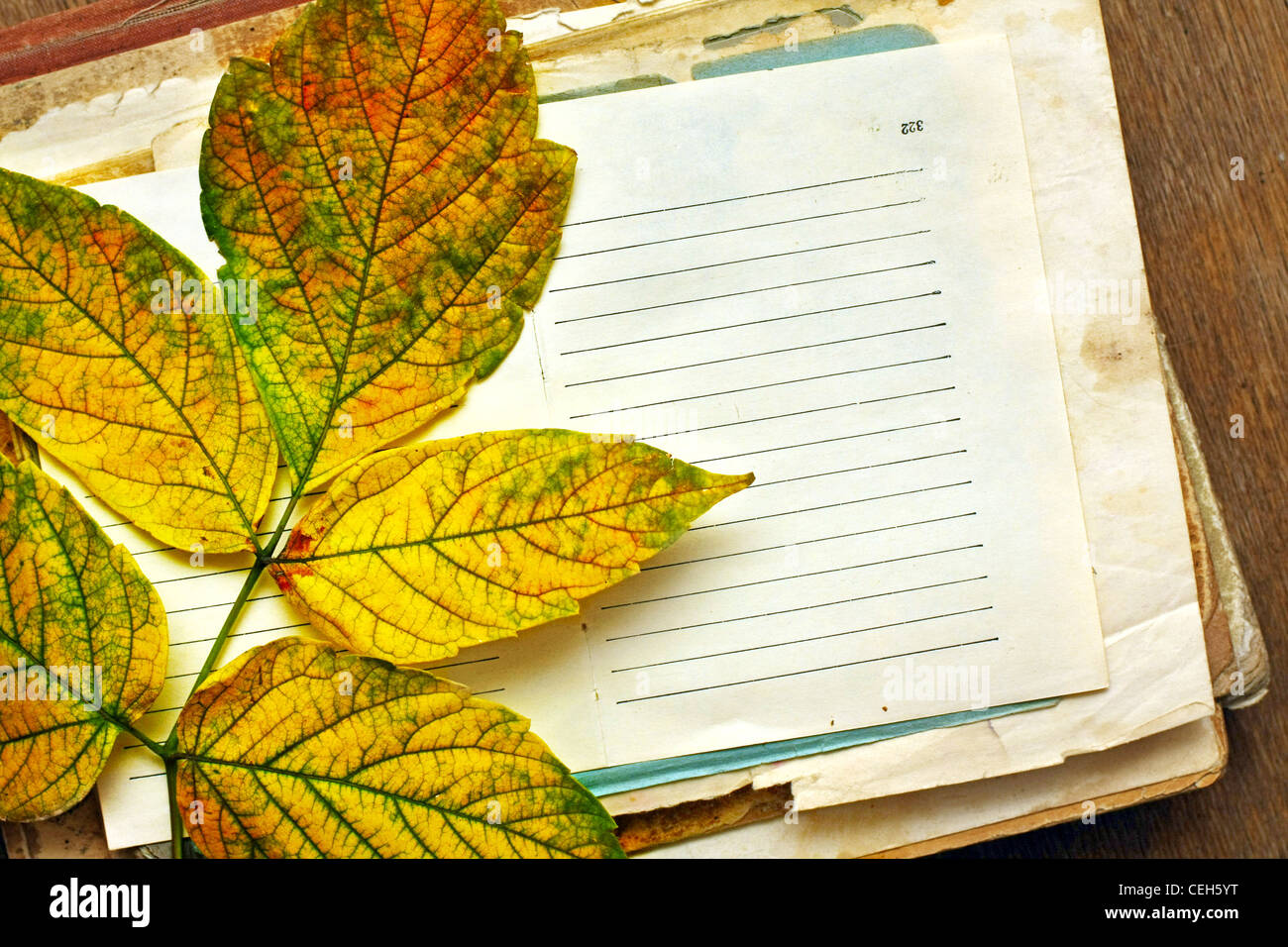 blank sheet of paper with autumn leaf Stock Photo - Alamy