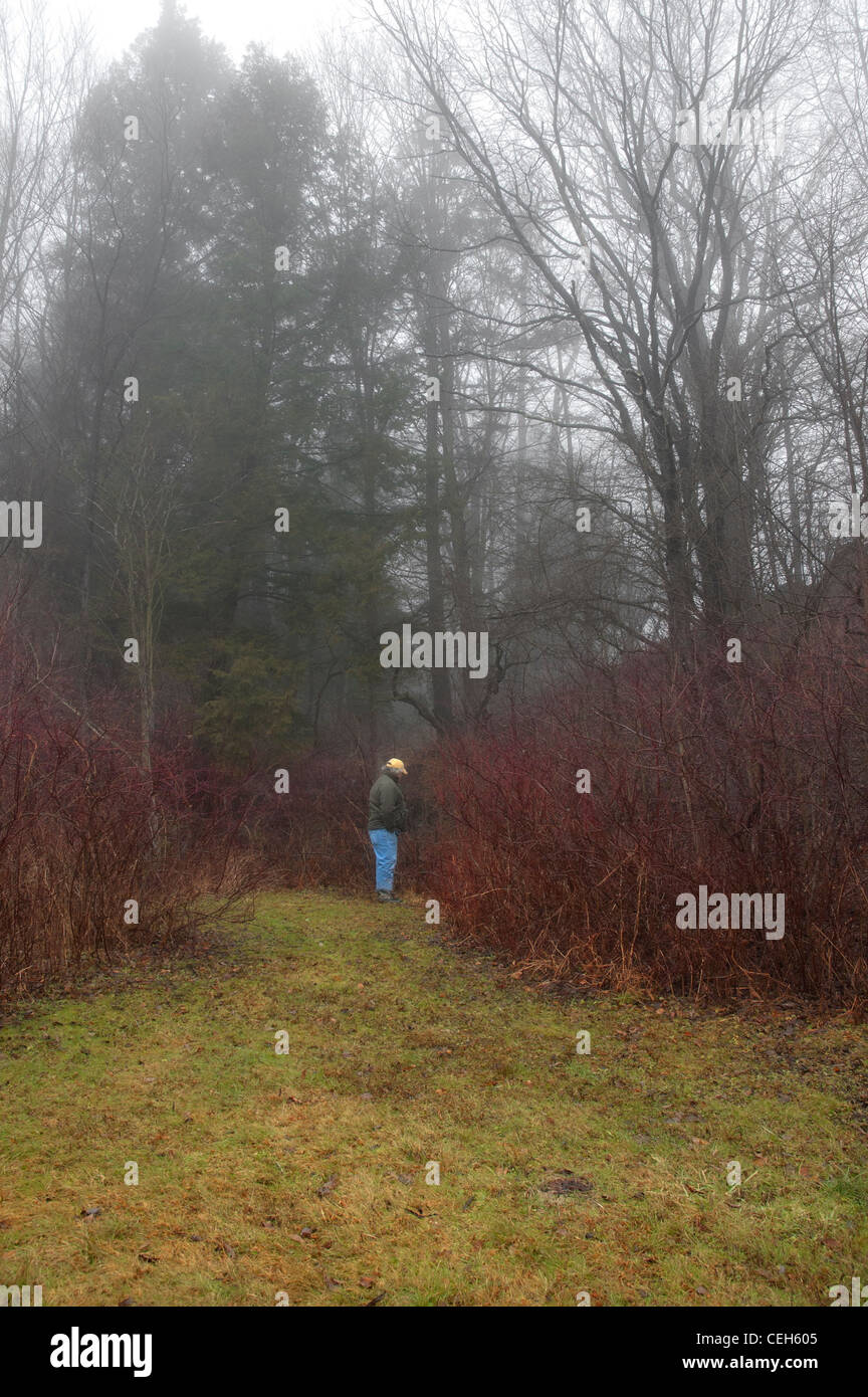 one man walking alone in the fog Stock Photo - Alamy