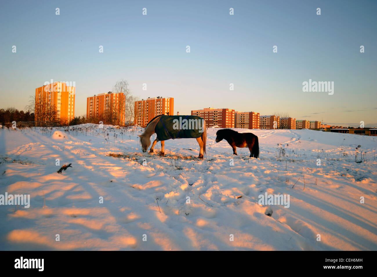 Akalla, a suburb of Stockholm, Sweden Stock Photo - Alamy