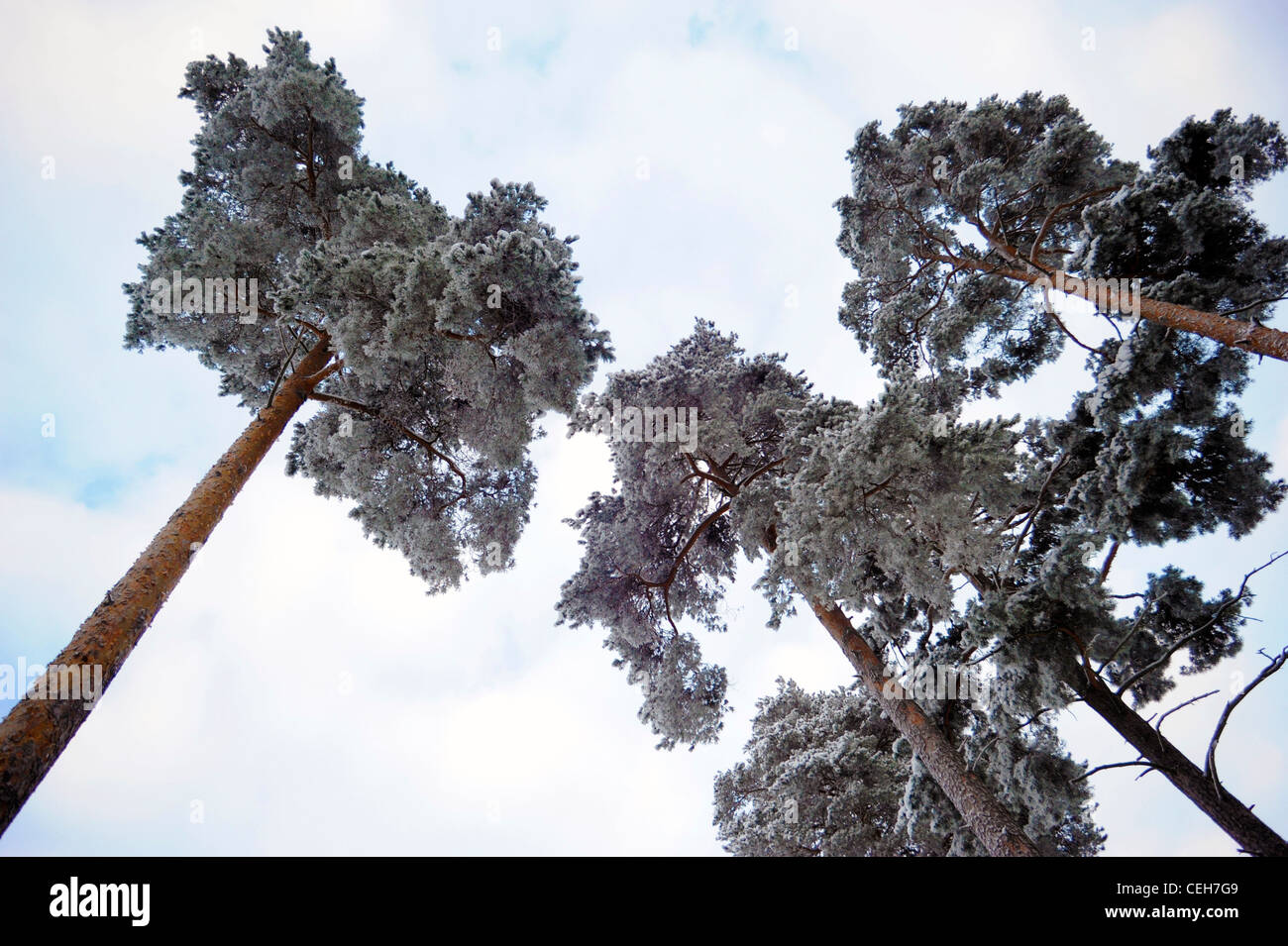 Akalla, a suburb of Stockholm, Sweden Stock Photo - Alamy