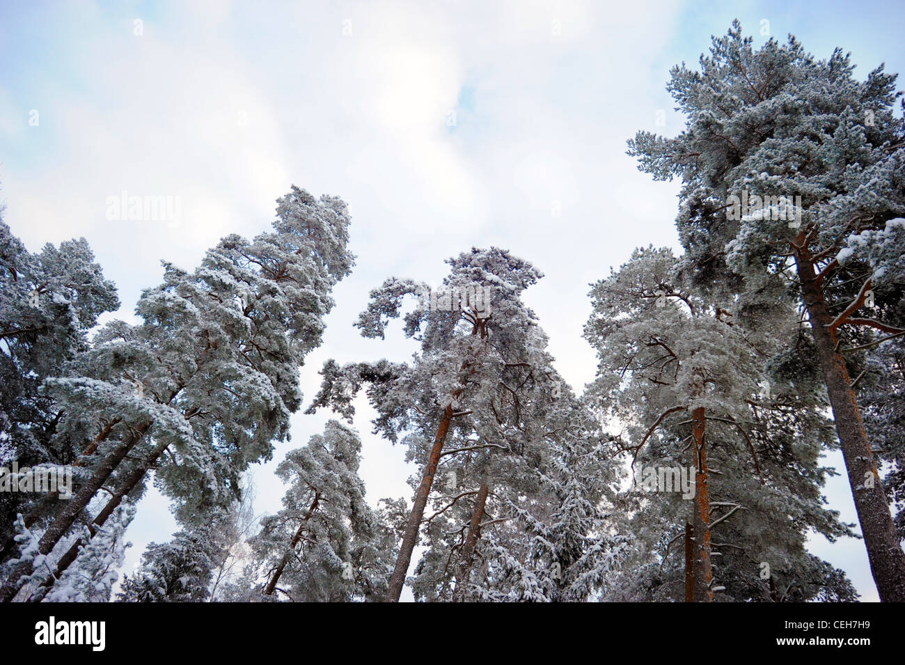 Akalla, a suburb of Stockholm, Sweden Stock Photo - Alamy
