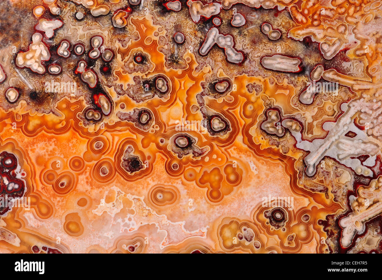 Orbicular rock hi-res stock photography and images - Alamy