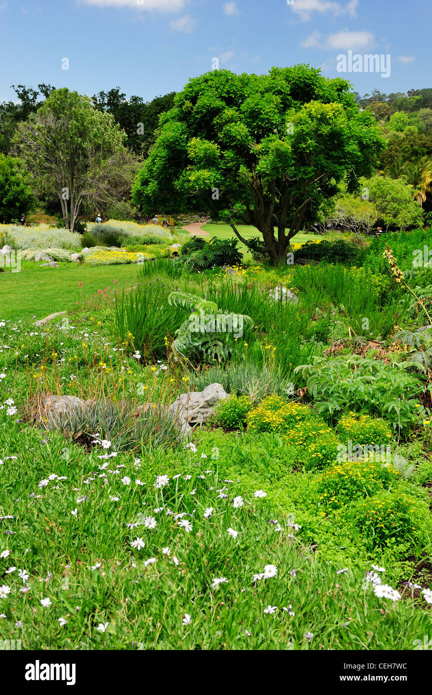 Cape town botanical garden hi-res stock photography and images - Alamy