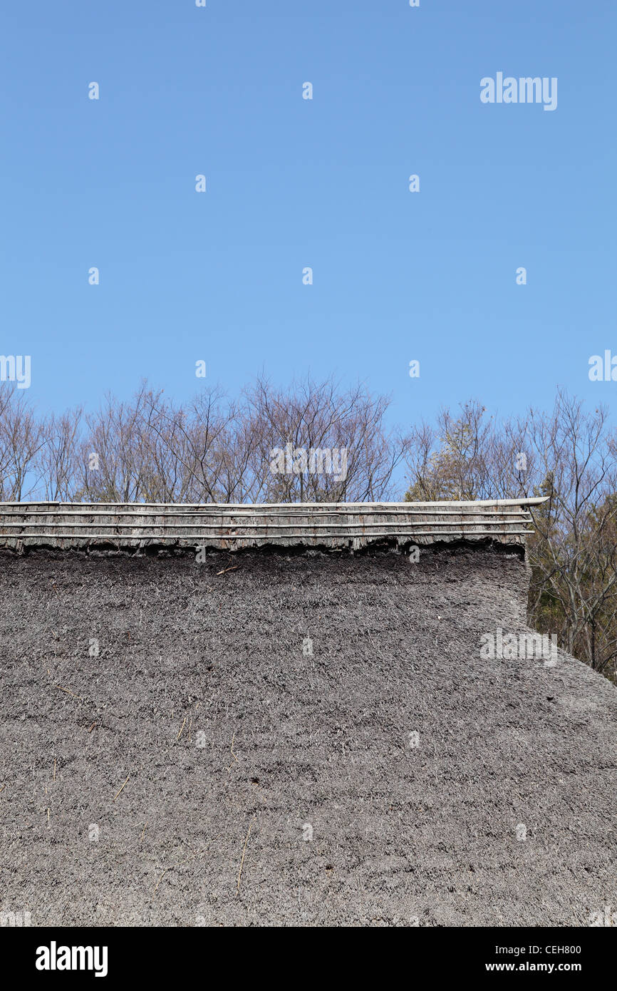 Thatch roof house color hi-res stock photography and images - Alamy