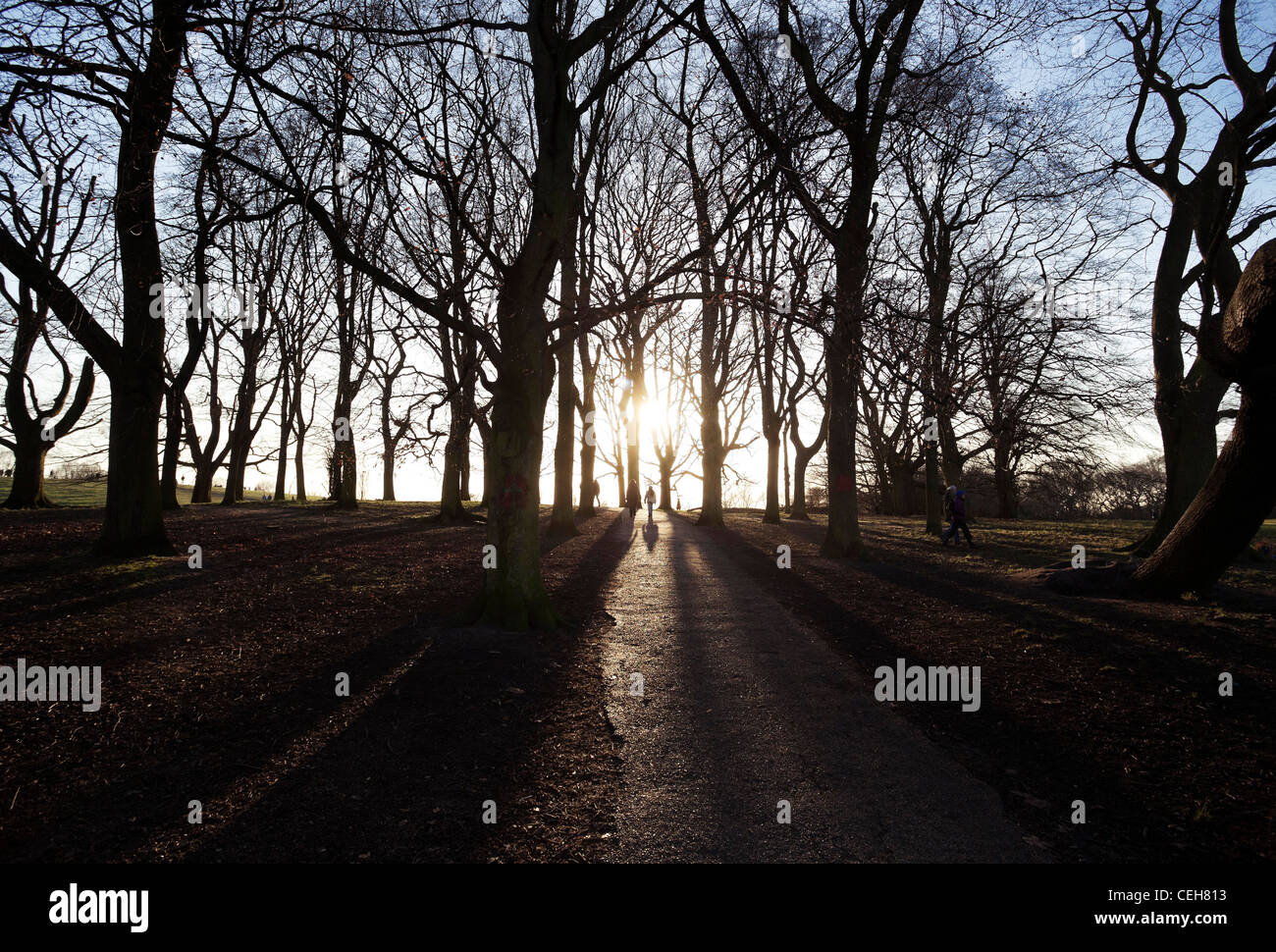 Hampstead Heath scene at sunset, Highgate, London, England, UK Stock ...