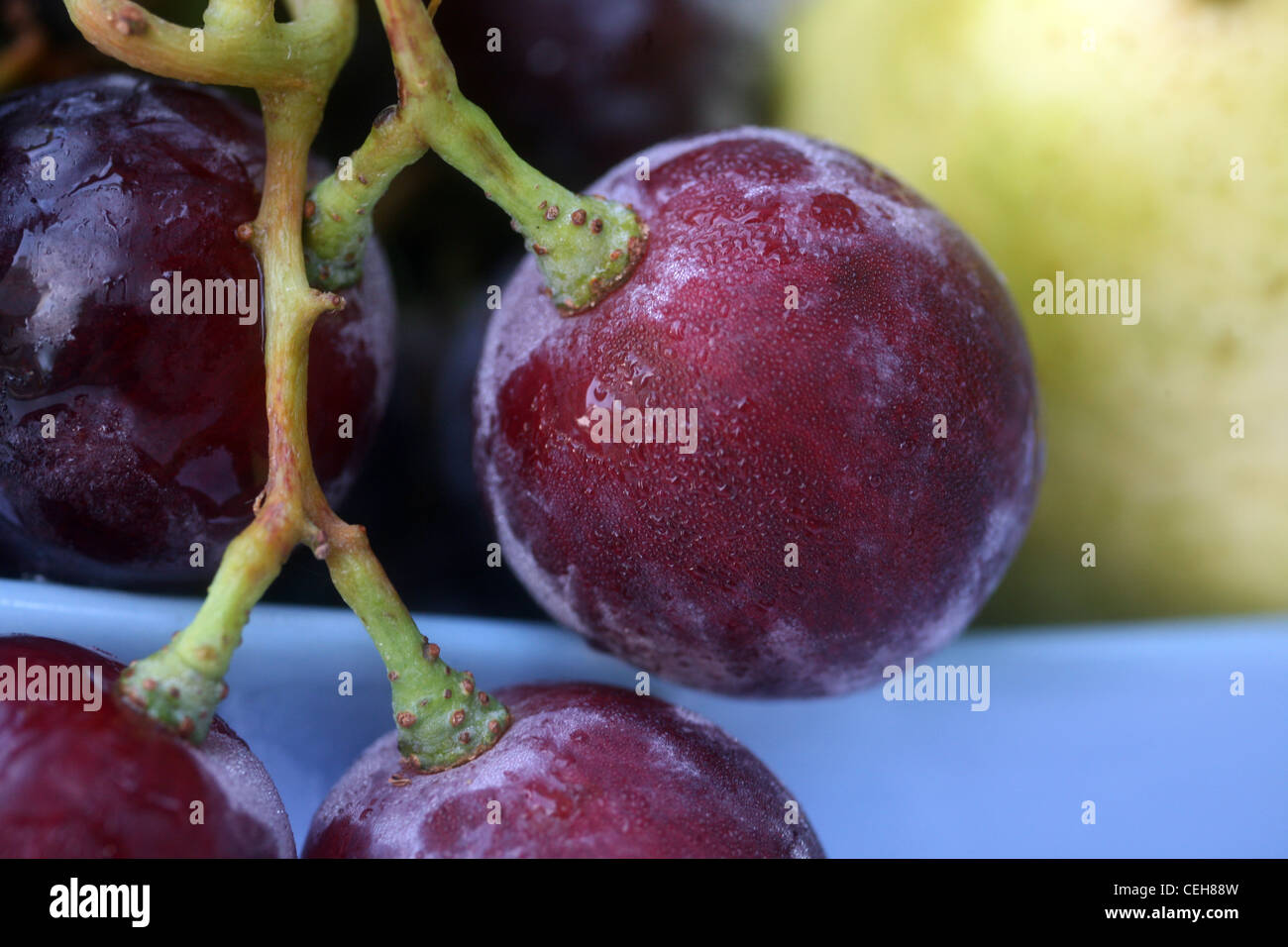 Fruit grape hi-res stock photography and images - Alamy