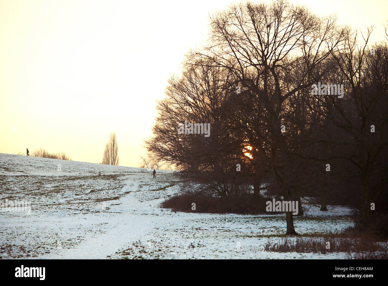 Snow covered hill, Hampstead Heath, London, England, UK Stock Photo - Alamy