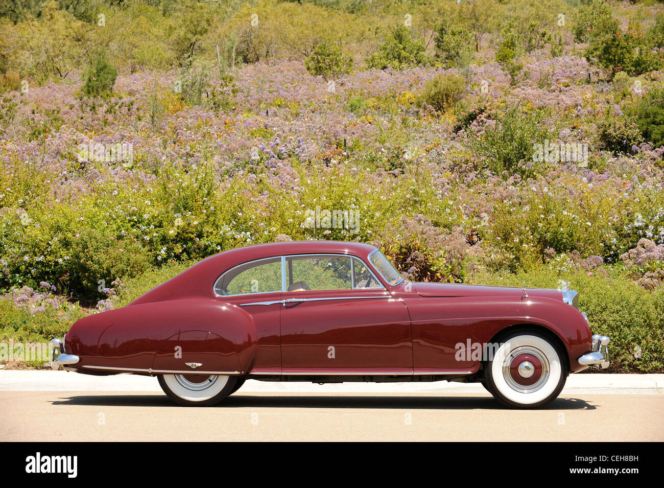 1954 Bentley R type Continental Stock Photo - Alamy
