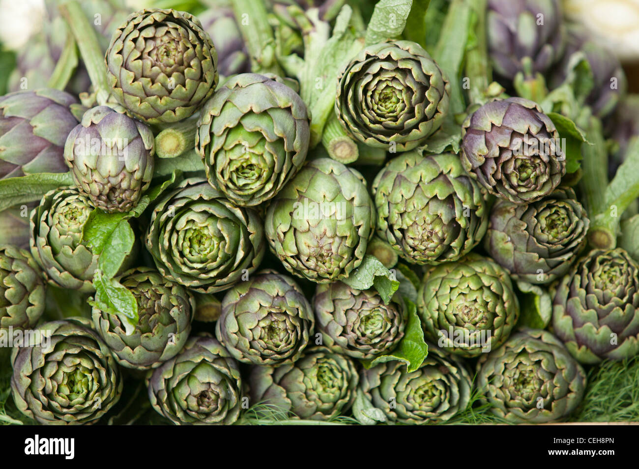 artichokes vegetables plant green food market Valencia Spain fresh ...