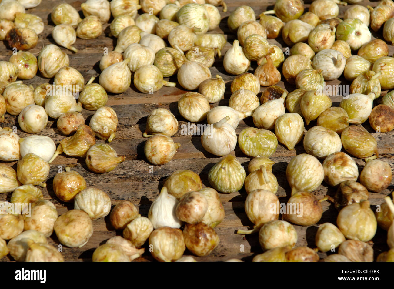 Figs drying in the sun Stock Photo - Alamy