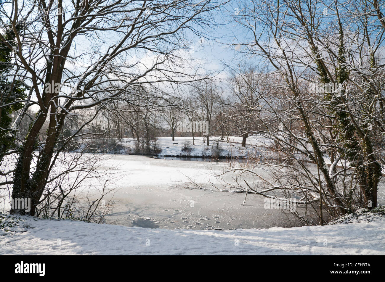 Sky trees and pond hi-res stock photography and images - Alamy