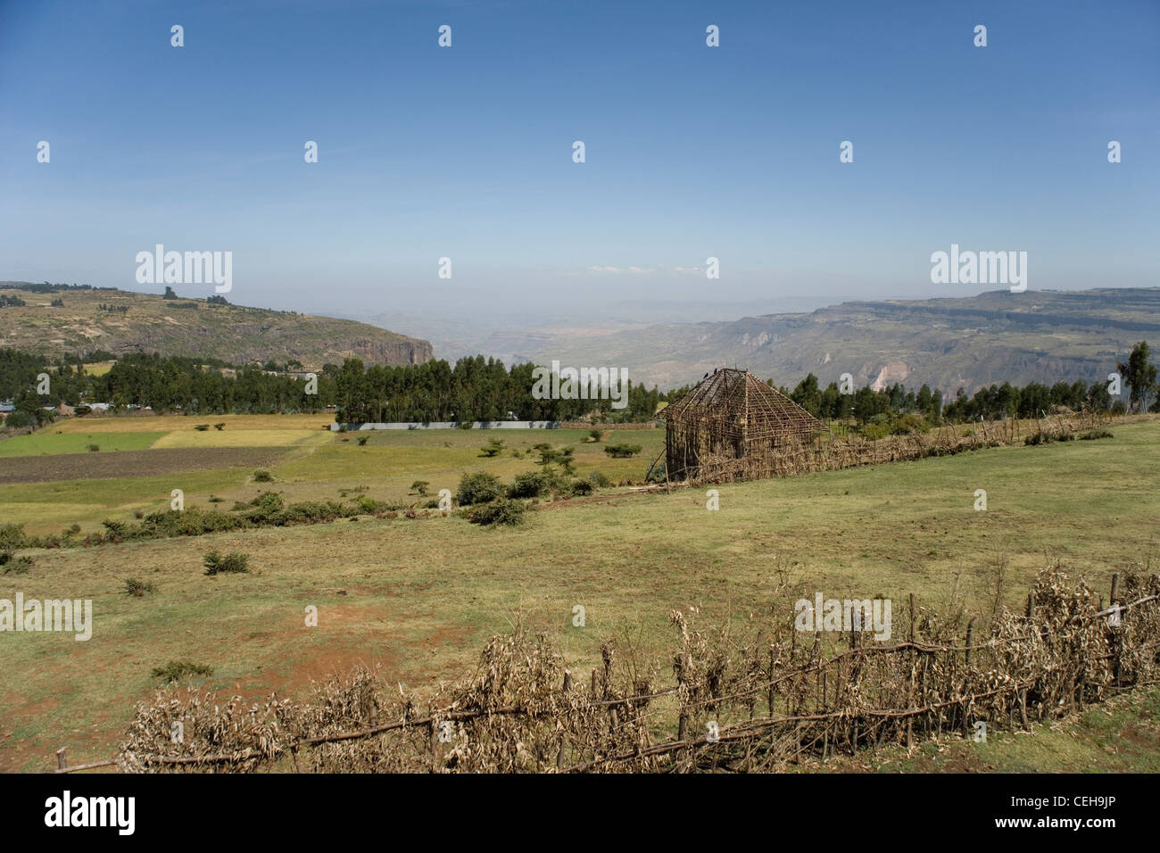 Countryside north of Addis Ababa on the top of the African Rift Valley ...