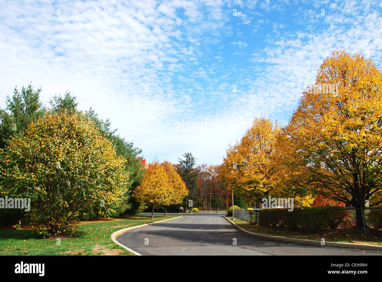 Tree nature landscape hi-res stock photography and images - Alamy