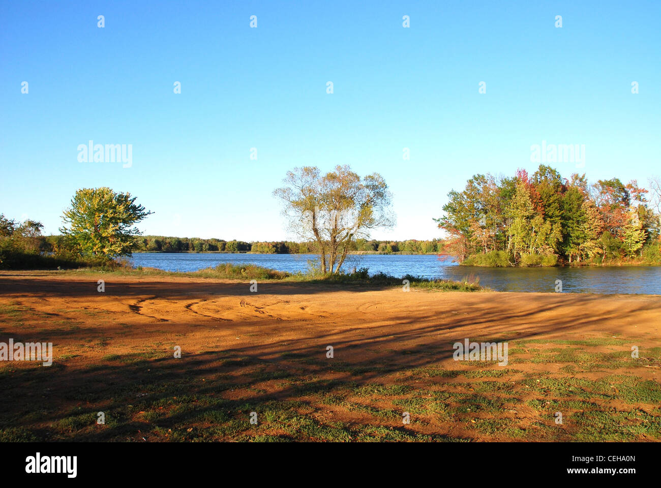 Tree and river hi-res stock photography and images - Alamy